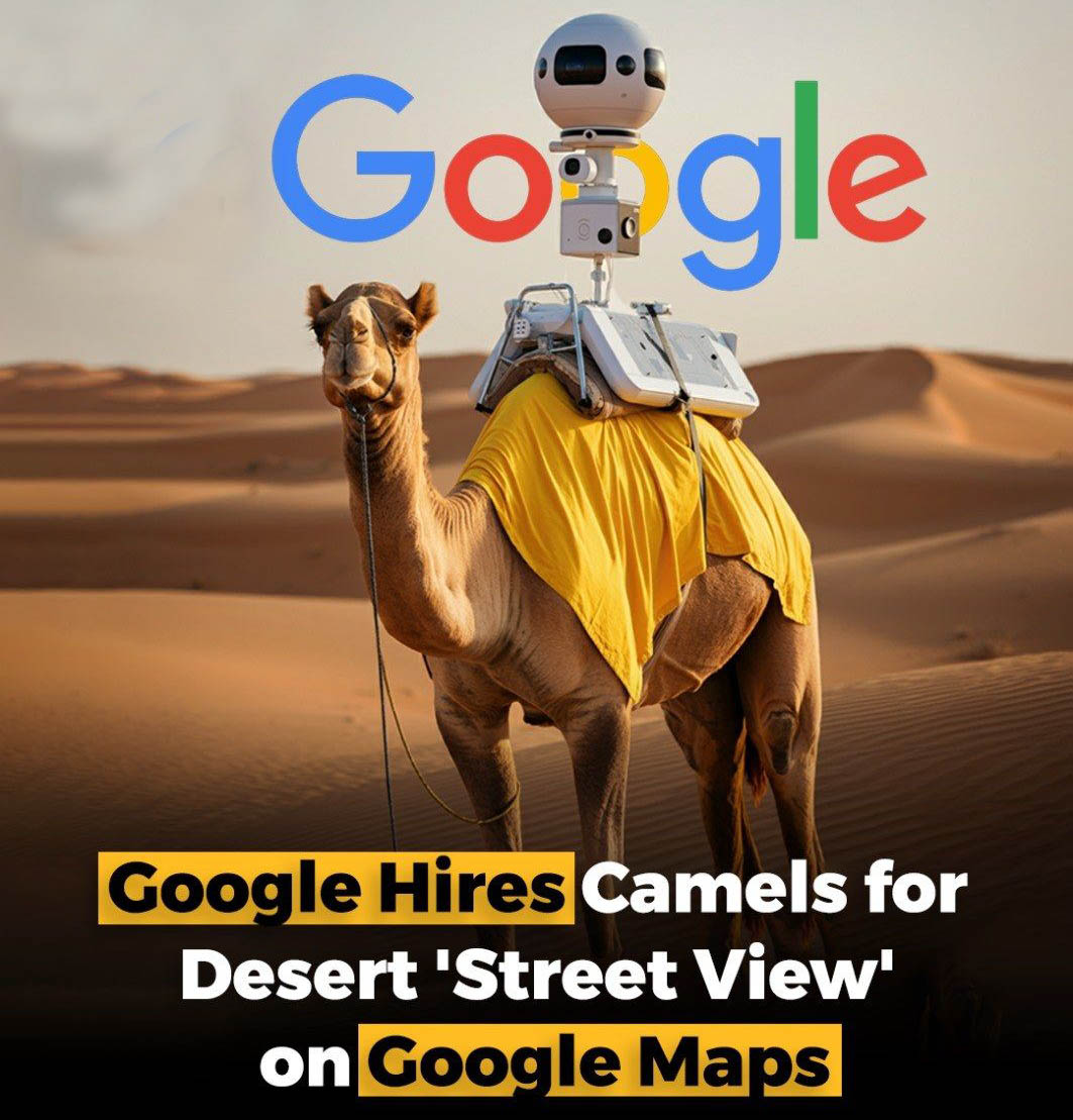 Google has turned to a unique solution to capture a “Street View” | 4g ...